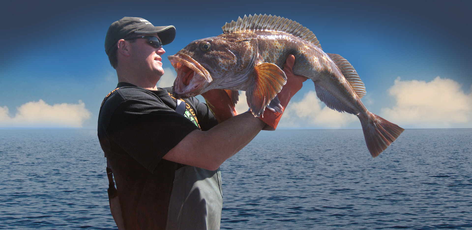 Species - Prince of Wales